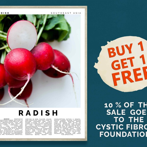 Radish Print Poster - Etsy
