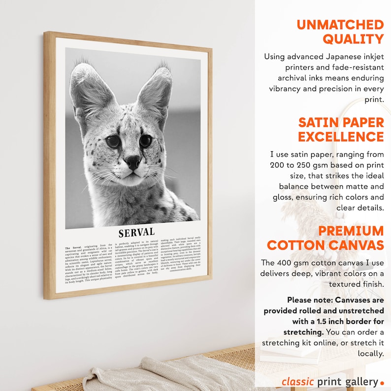 Serval Print, Serval Wall Art Poster, Black White Classroom Teacher ...