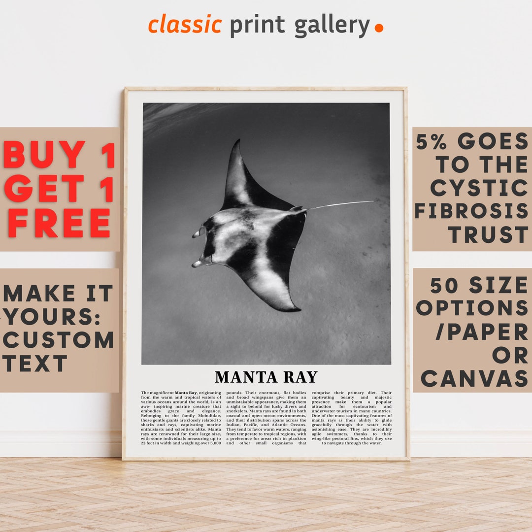 Manta Ray Print, Manta Ray Wall Art Poster, Black White Classroom ...