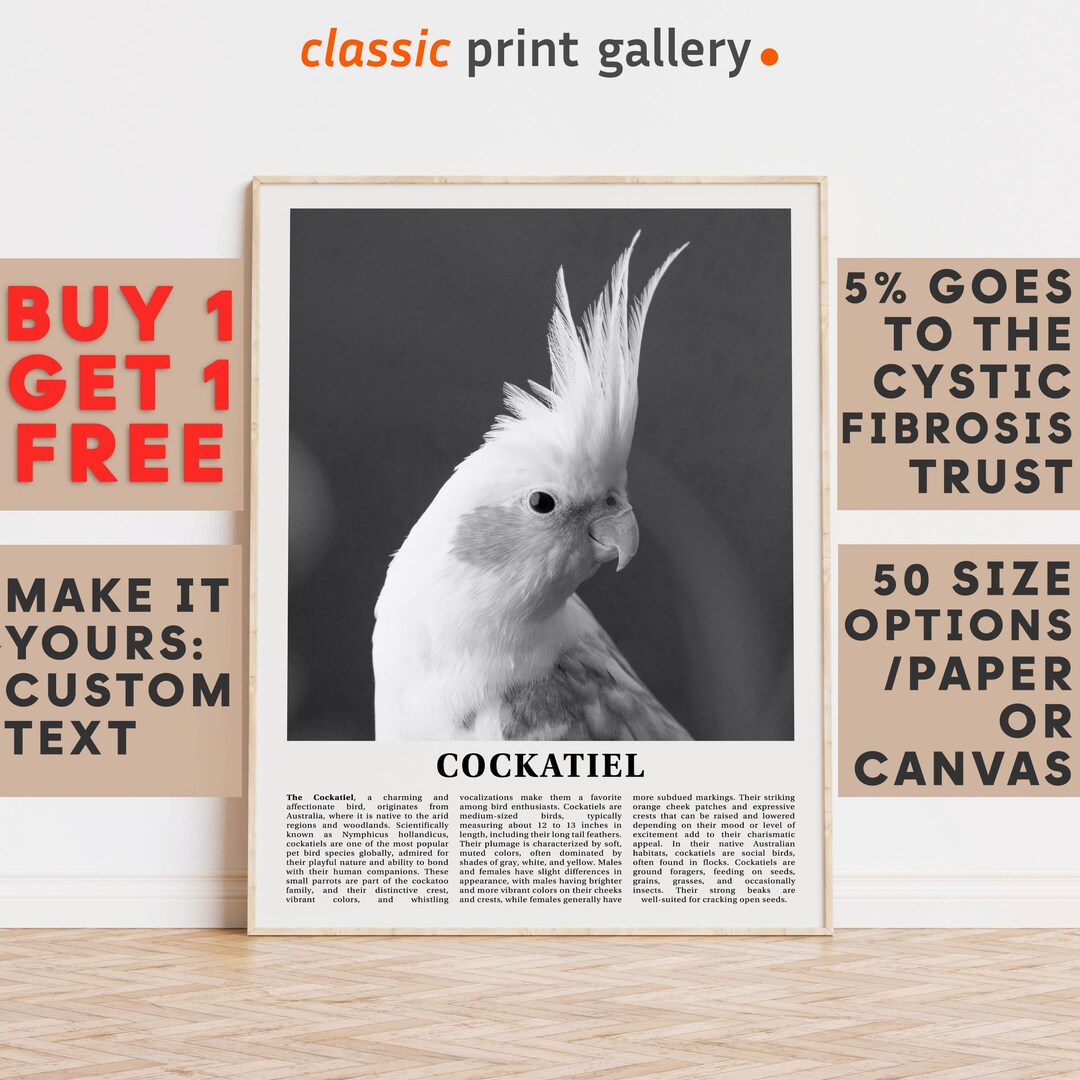 Cockatiel Print, Cockatiel Wall Art Poster, Black White Classroom ...
