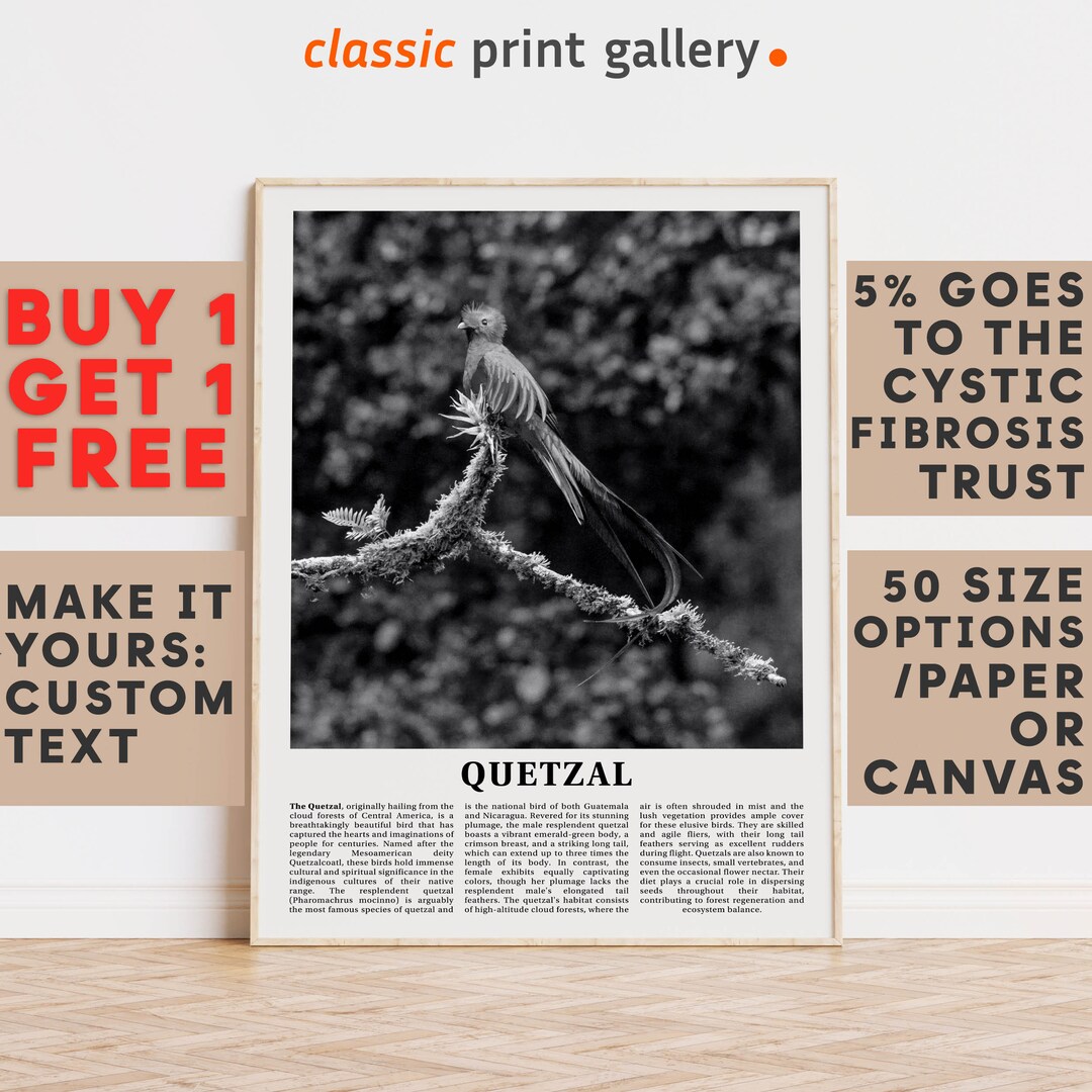 Quetzal Print, Quetzal Wall Art Poster, Black White Classroom Teacher ...