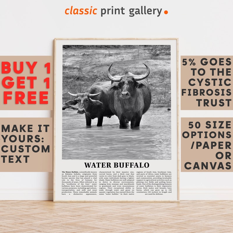 Buffalo Poster - Etsy