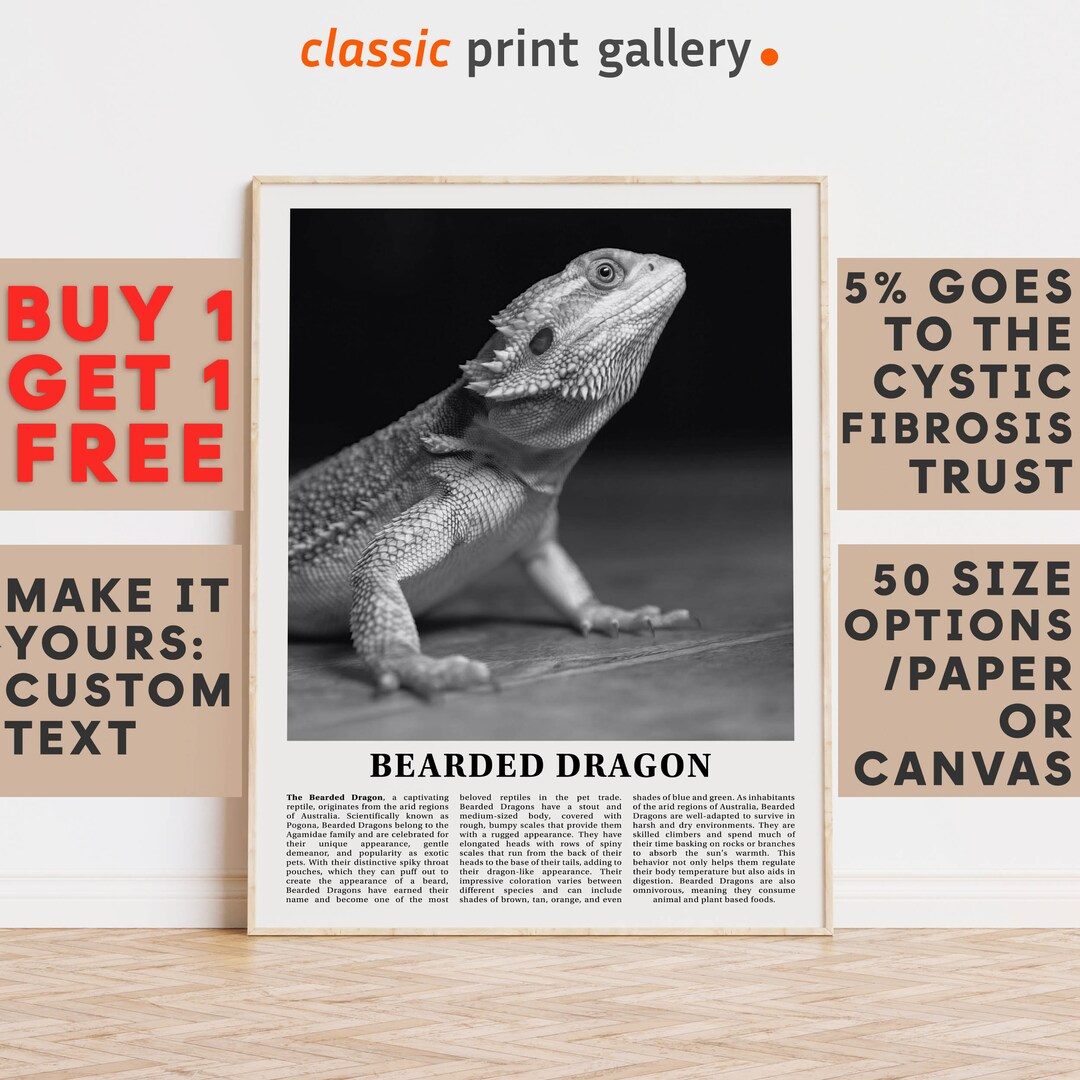 Bearded Dragon Print, Bearded Dragon Wall Art Poster, Black White ...