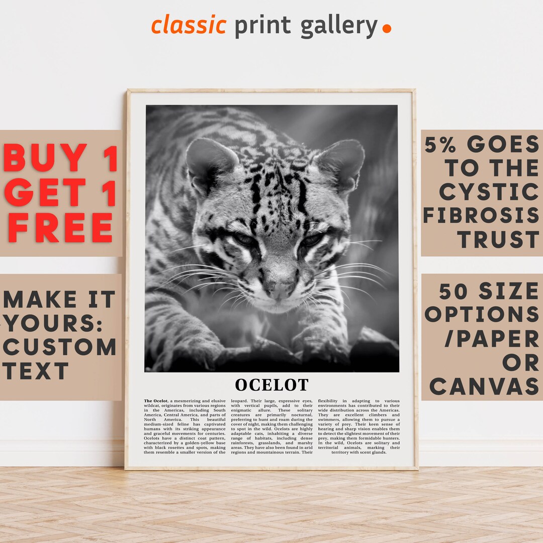 Ocelot Print, Ocelot Wall Art Poster, Black White Classroom Teacher ...