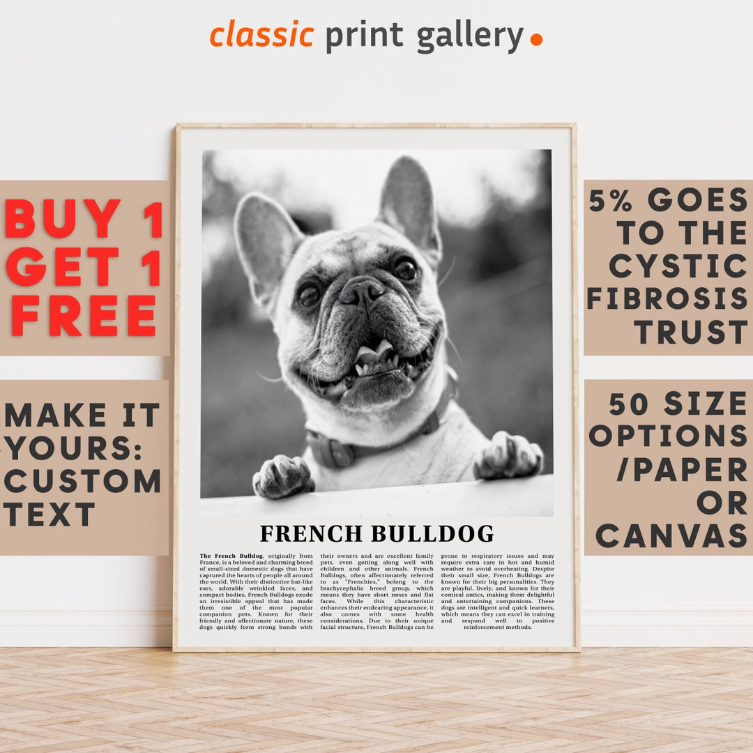 French Bulldog Print, French Bulldog Wall Art Poster, Black White ...