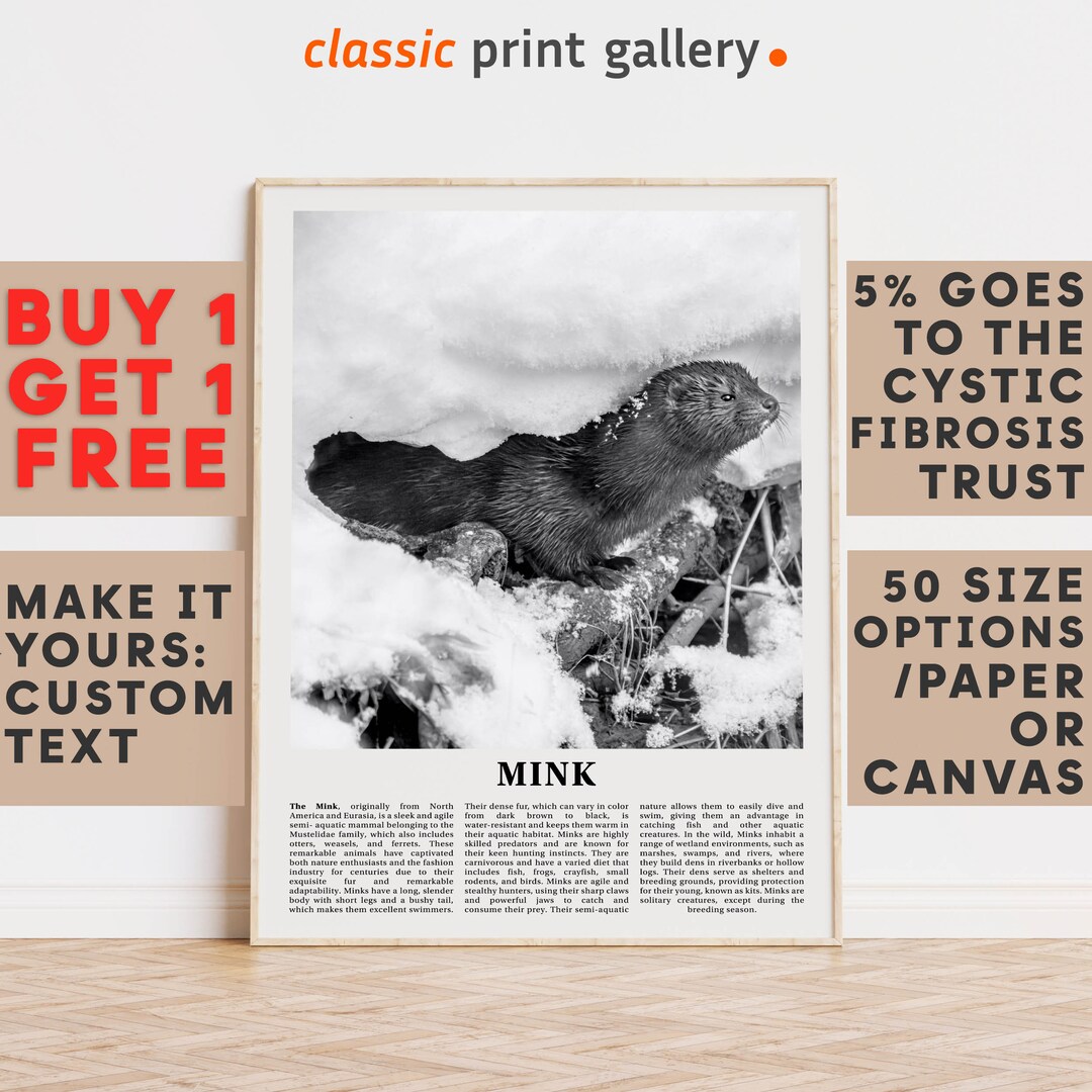 Mink Print, Mink Wall Art Poster, Black White Classroom Teacher Gift ...