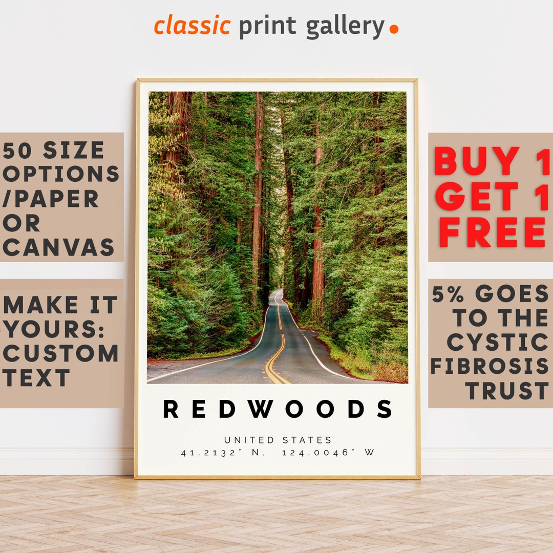 Redwoods Poster Colorful Print, Redwoods Wall Art, Redwoods Photo Decor ...
