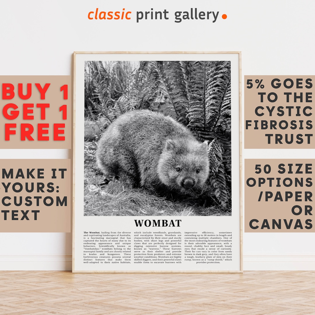 Wombat Print, Wombat Wall Art Poster, Black White Classroom Teacher ...