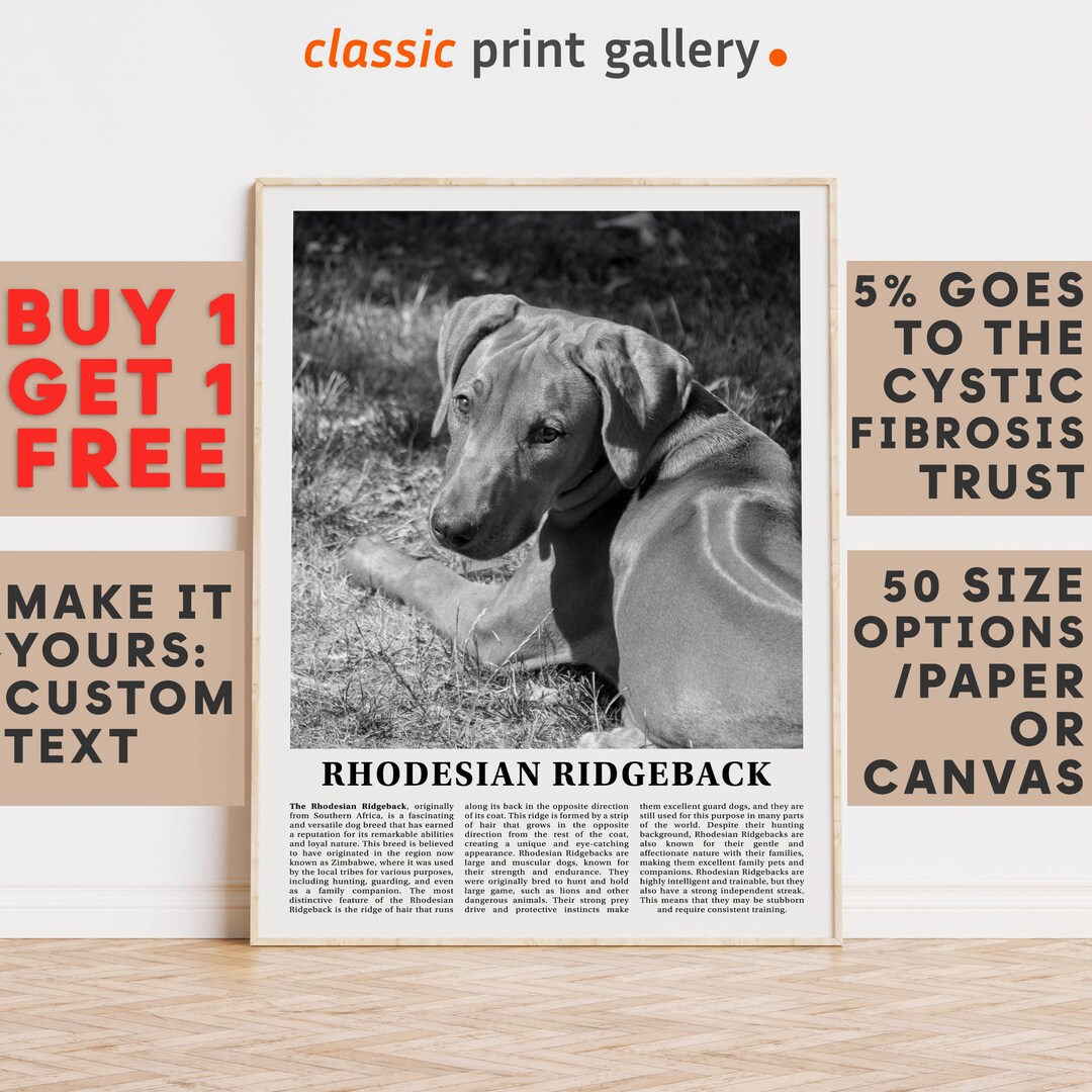 Rhodesian Ridgeback Print, Rhodesian Ridgeback Wall Art Poster, Black ...