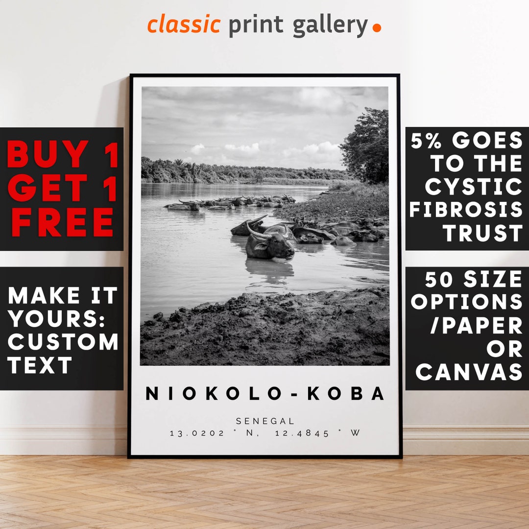 Niokolo-koba Print,niokolo-koba Wall Art,niokolo-koba Black and White ...
