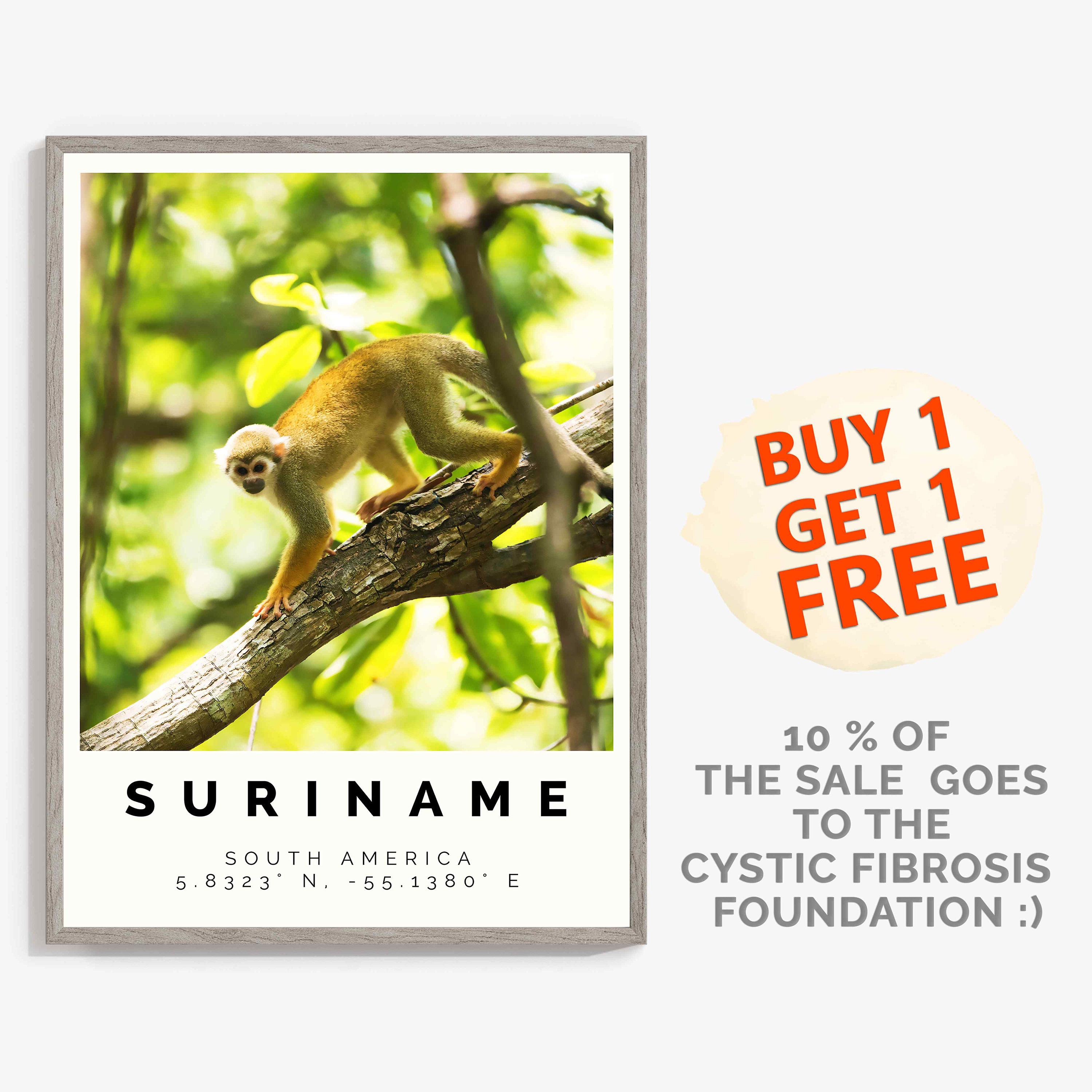 Suriname Poster Colorful Print Suriname Wall Art Suriname - Etsy