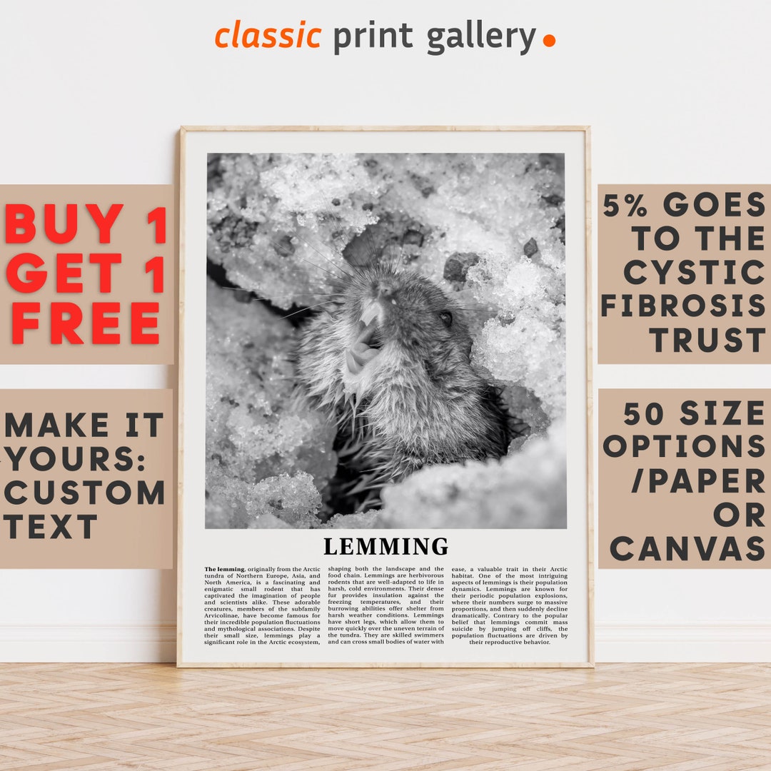 Lemming Print, Lemming Wall Art Poster, Black White Classroom Teacher ...