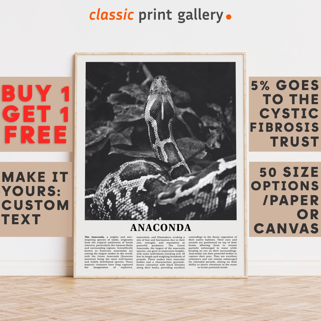 Anaconda Print, Anaconda Wall Art Poster, Black White Classroom Teacher ...