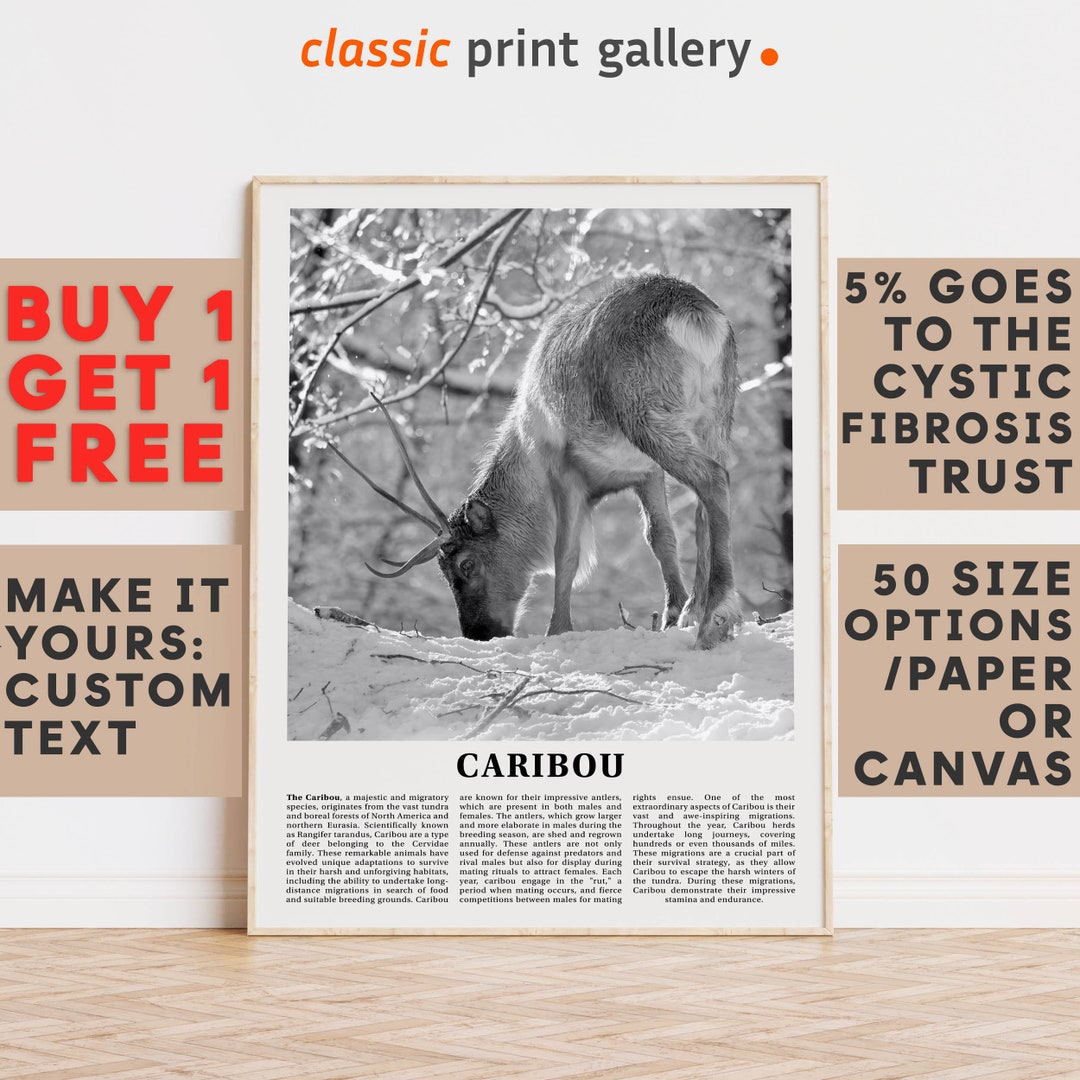 Caribou Print, Caribou Wall Art Poster, Black White Classroom Teacher ...