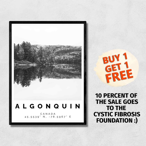 Algonquin Provincial Park Illustrated Map - Etsy Canada
