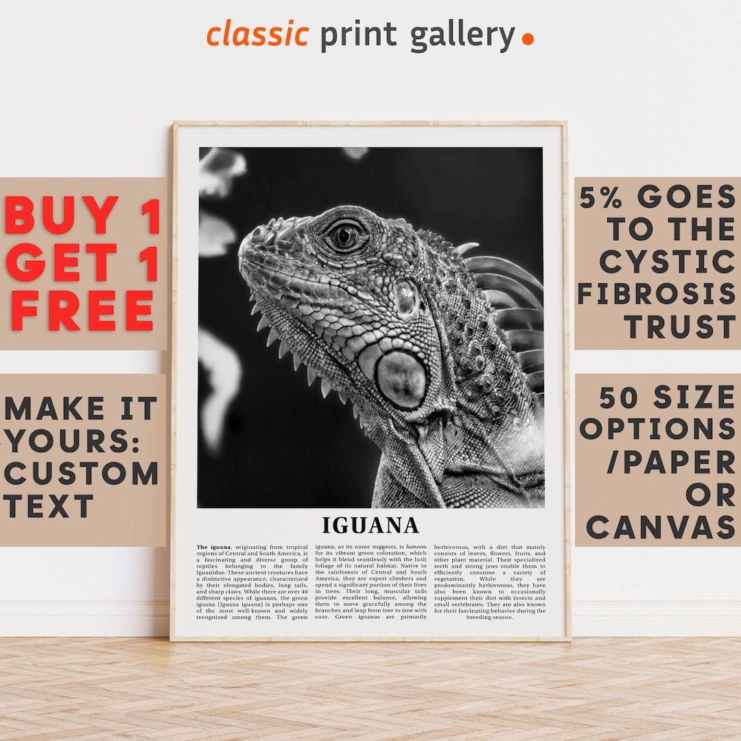 Iguana Print, Iguana Wall Art Poster, Black White Classroom Teacher ...