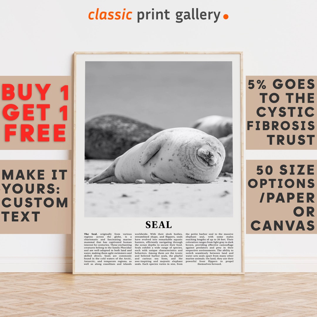 Seal Print, Seal Wall Art Poster, Black White Classroom Teacher Gift ...