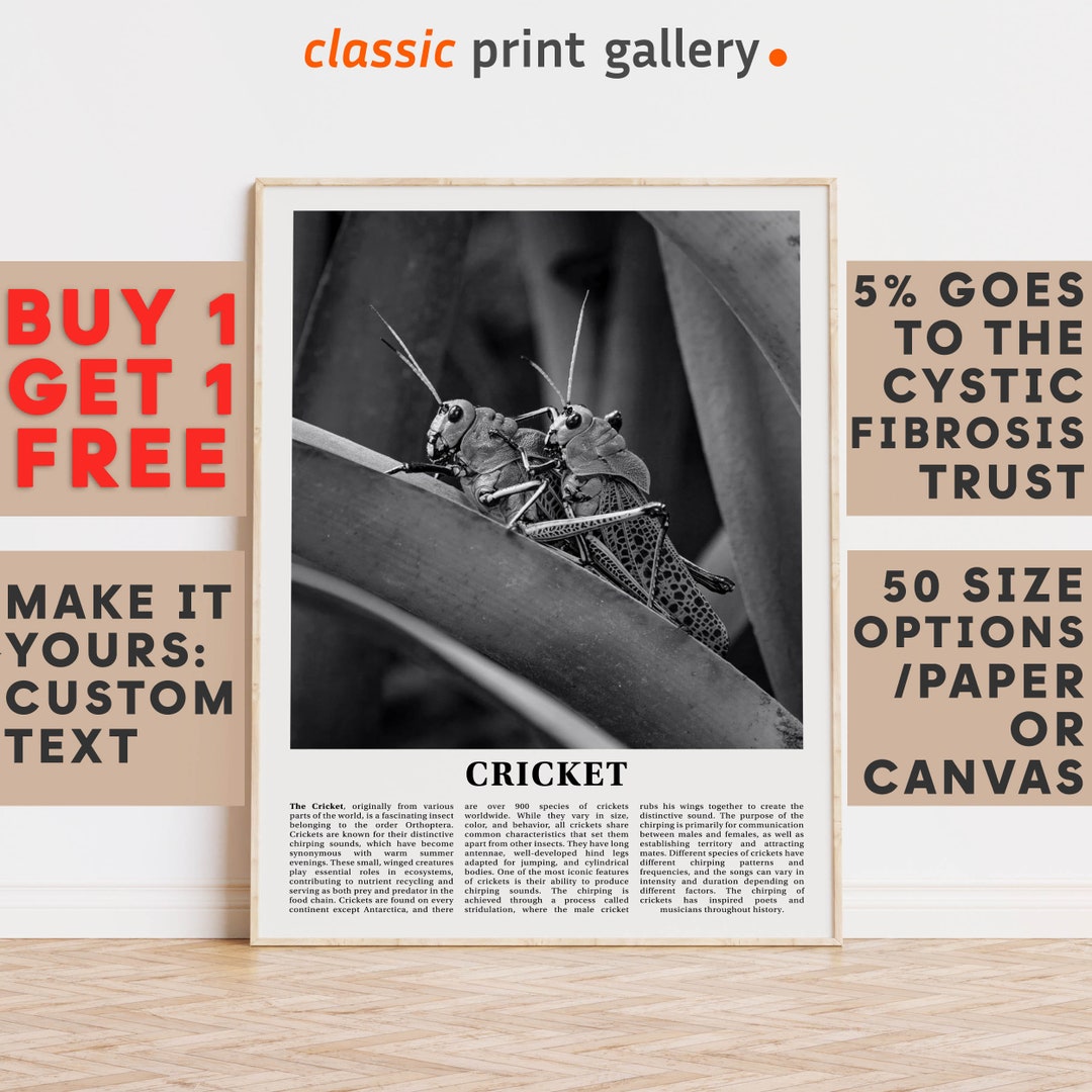 Cricket Print, Cricket Wall Art Poster, Black White Classroom Teacher ...