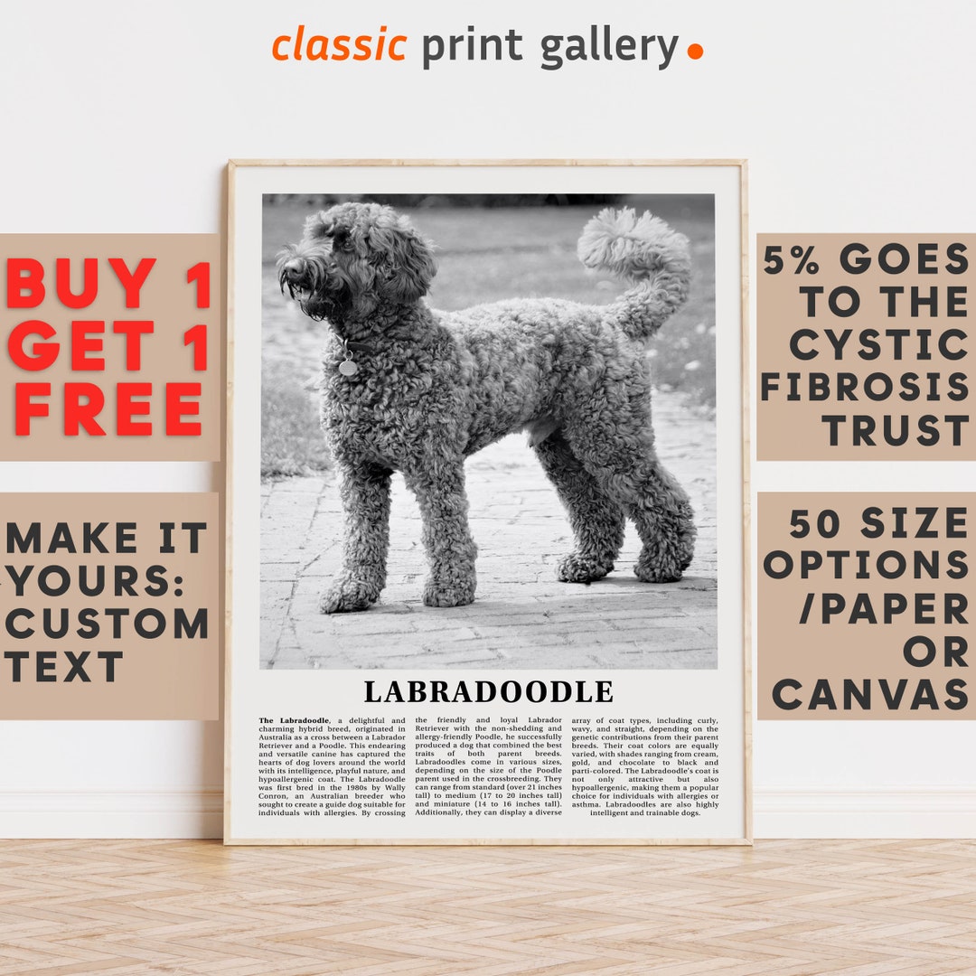 Labradoodle Print, Labradoodle Wall Art Poster, Black White Classroom ...