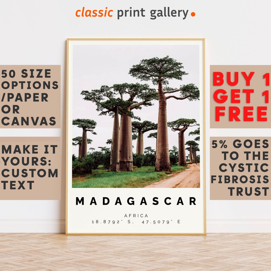 Madagascar Poster Colorful Print, Madagascar Wall Art, Madagascar Photo ...
