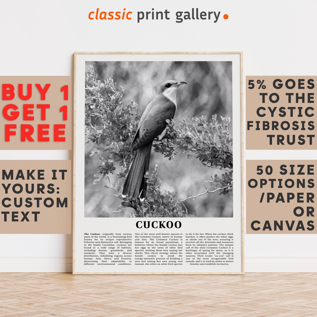 Cuckoo Print Cuckoo Wall Art Poster Black White Classroom - Etsy
