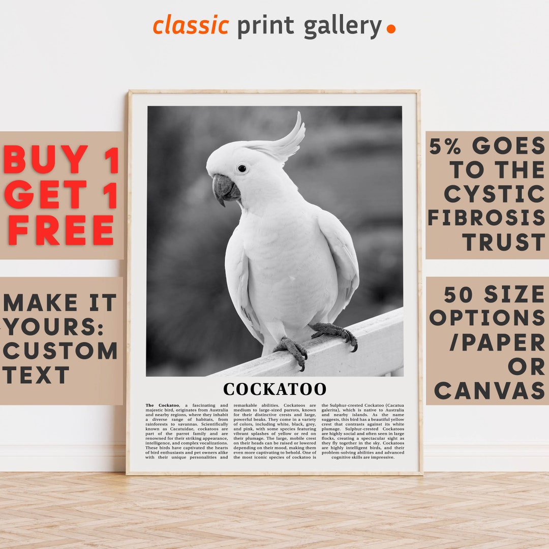 Cockatoo Print, Cockatoo Wall Art Poster, Black White Classroom Teacher ...