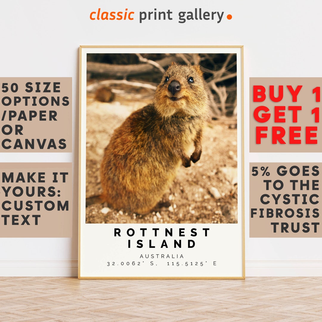 Rottnest Island Poster Colorful Print, Rottnest Island Wall Art ...