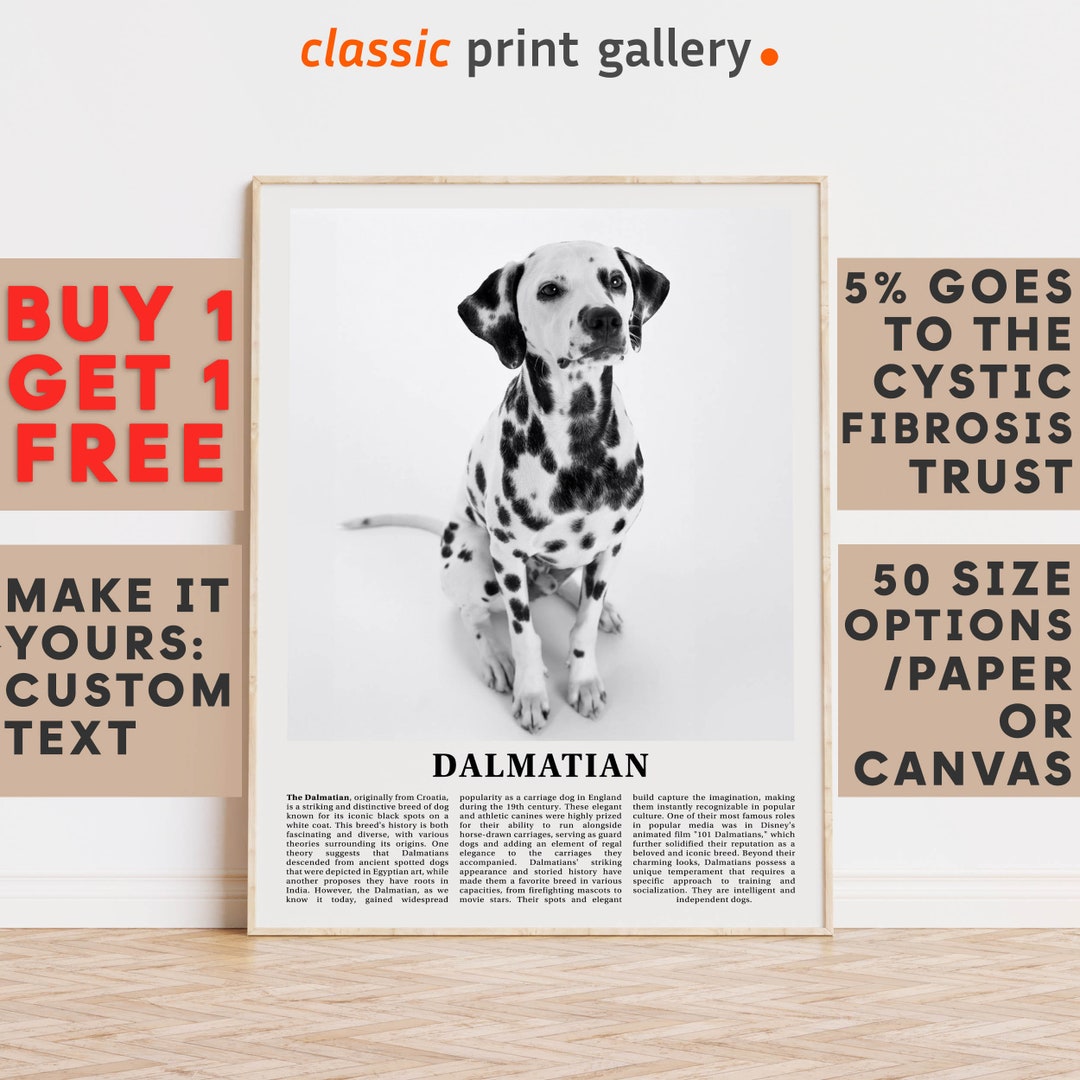 Dalmatian Print, Dalmatian Wall Art Poster, Black White Classroom ...