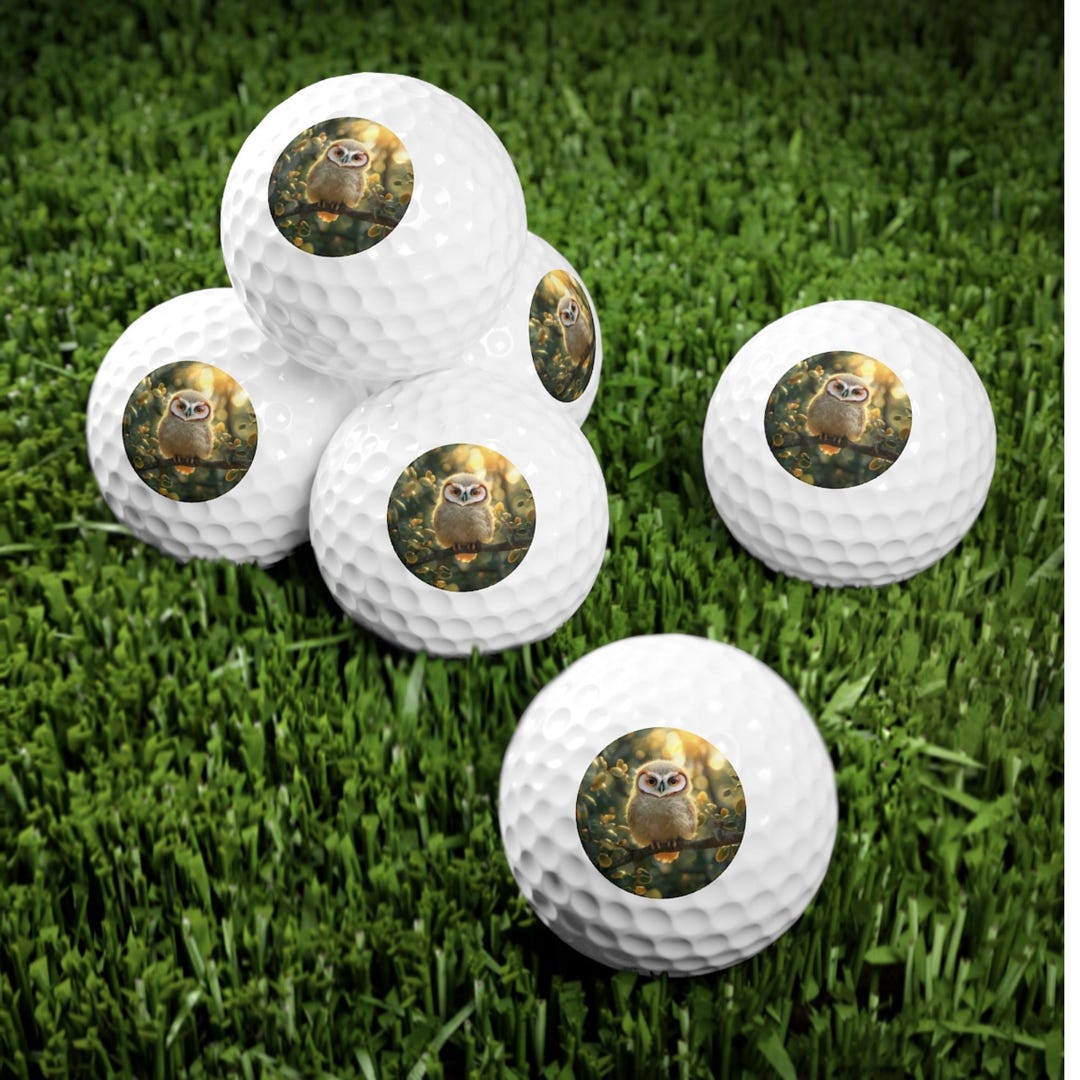Owl Golf Ball Set: Personalized Wildlife Gift for Golfers (6pc) - Etsy