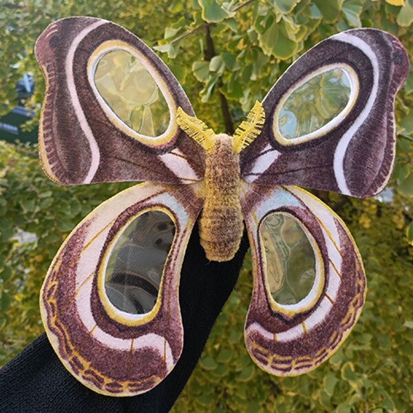 Realistic Moth Plush - Etsy