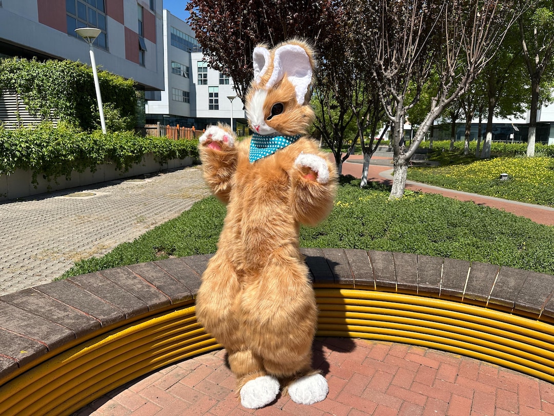 Realistic Rabbit Fursuit Full Body ,realistic Rabbit Furry Mask,bunny ...