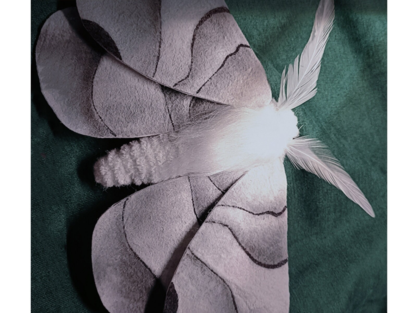 Little Moth Plush Moth Toy Handmade Realistic Unique Stuffed - Etsy