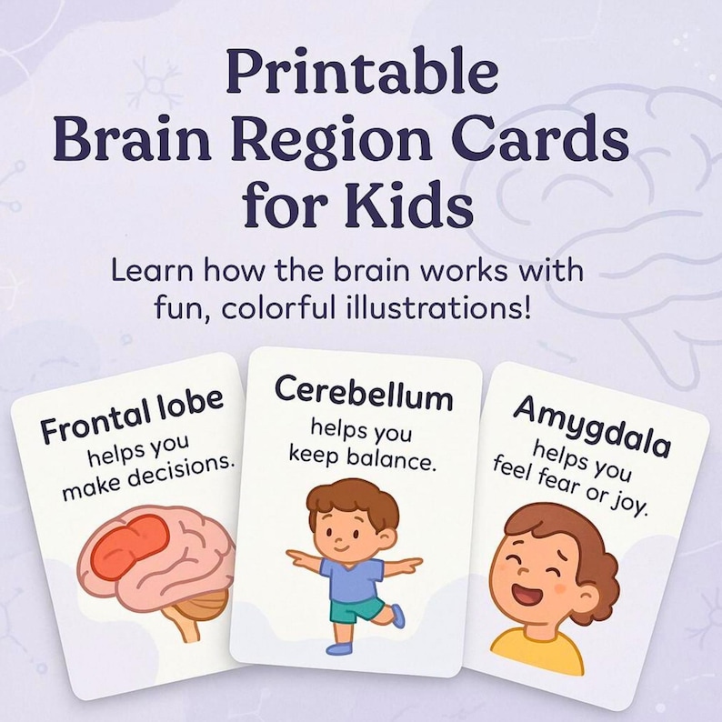 Printable Brain Region Cards for Kids | Fun Educational Set for ...