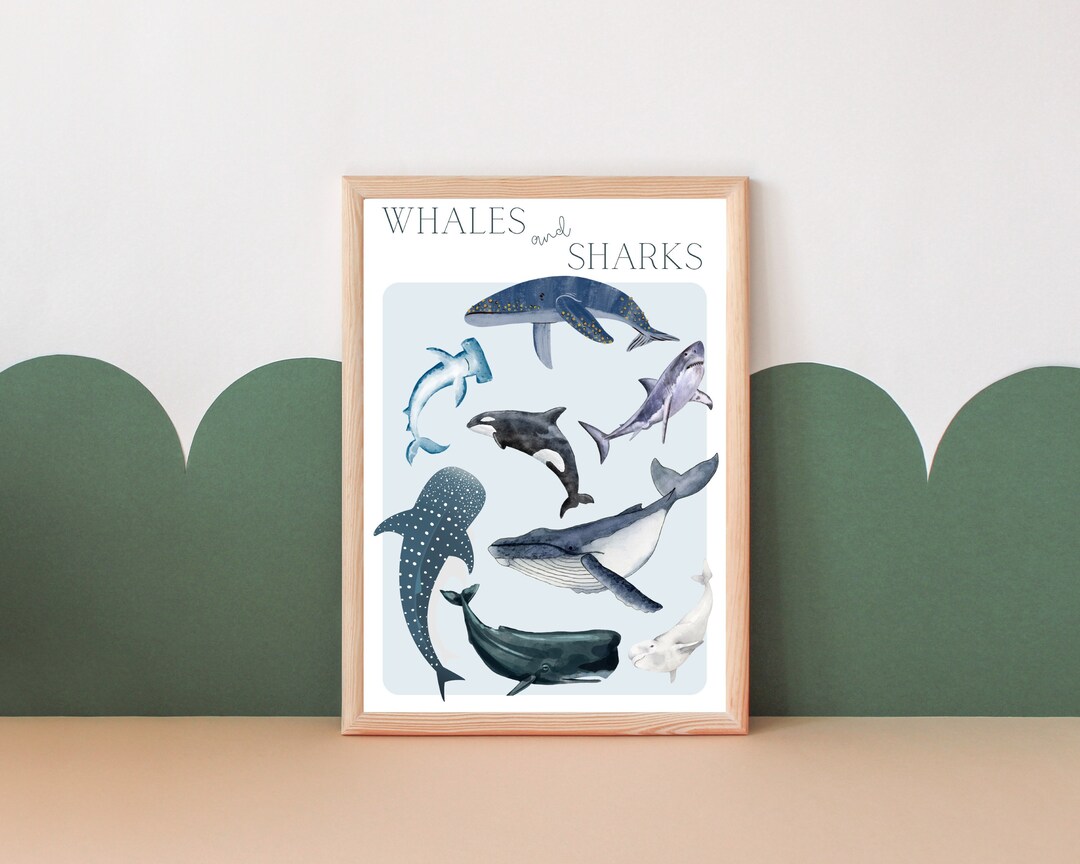 Whales and Sharks Print. Sea Theme Playroom, Boys and Girls Room Art ...