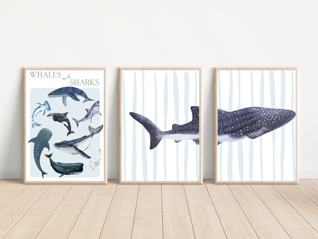 Set of 3 Whales and Sharks Prints, Including a Double Whale Shark Print ...