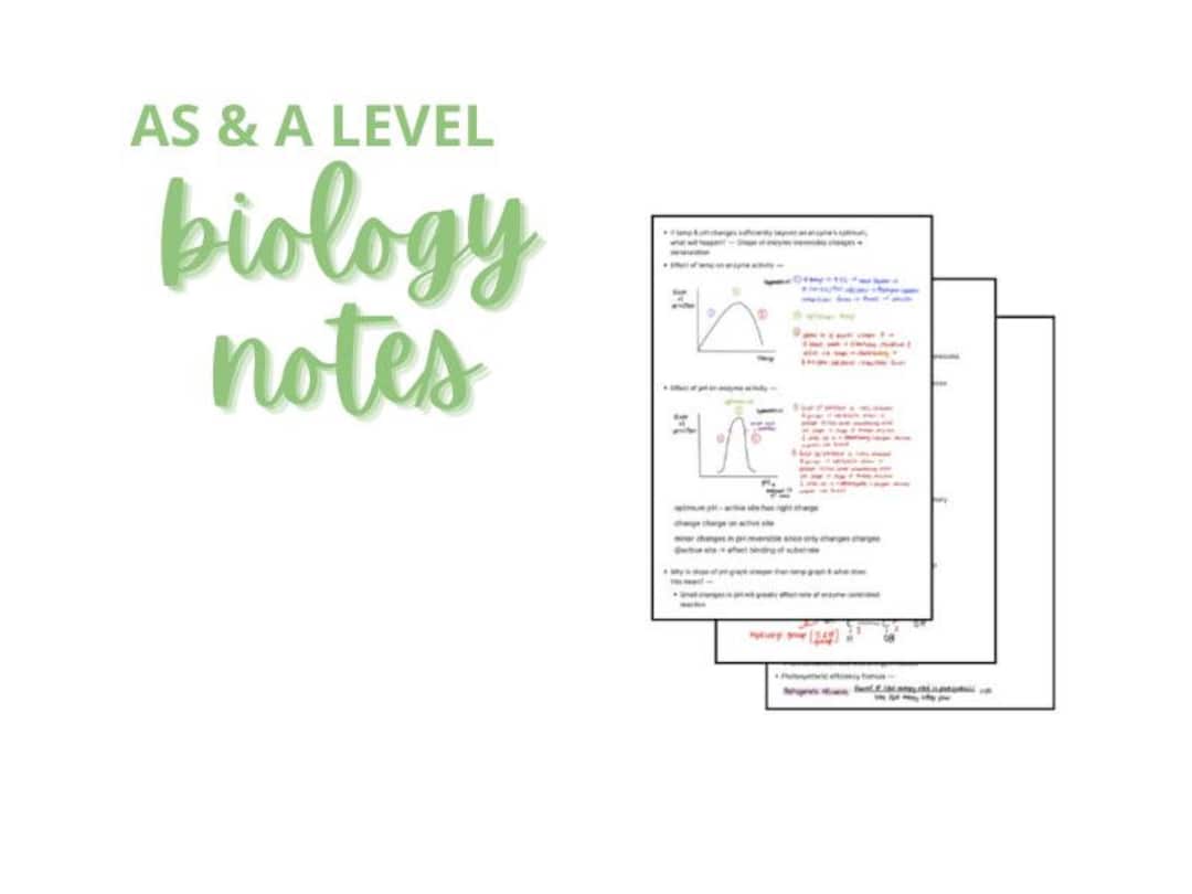 AS and A Level Biology Notes Bundle - Etsy