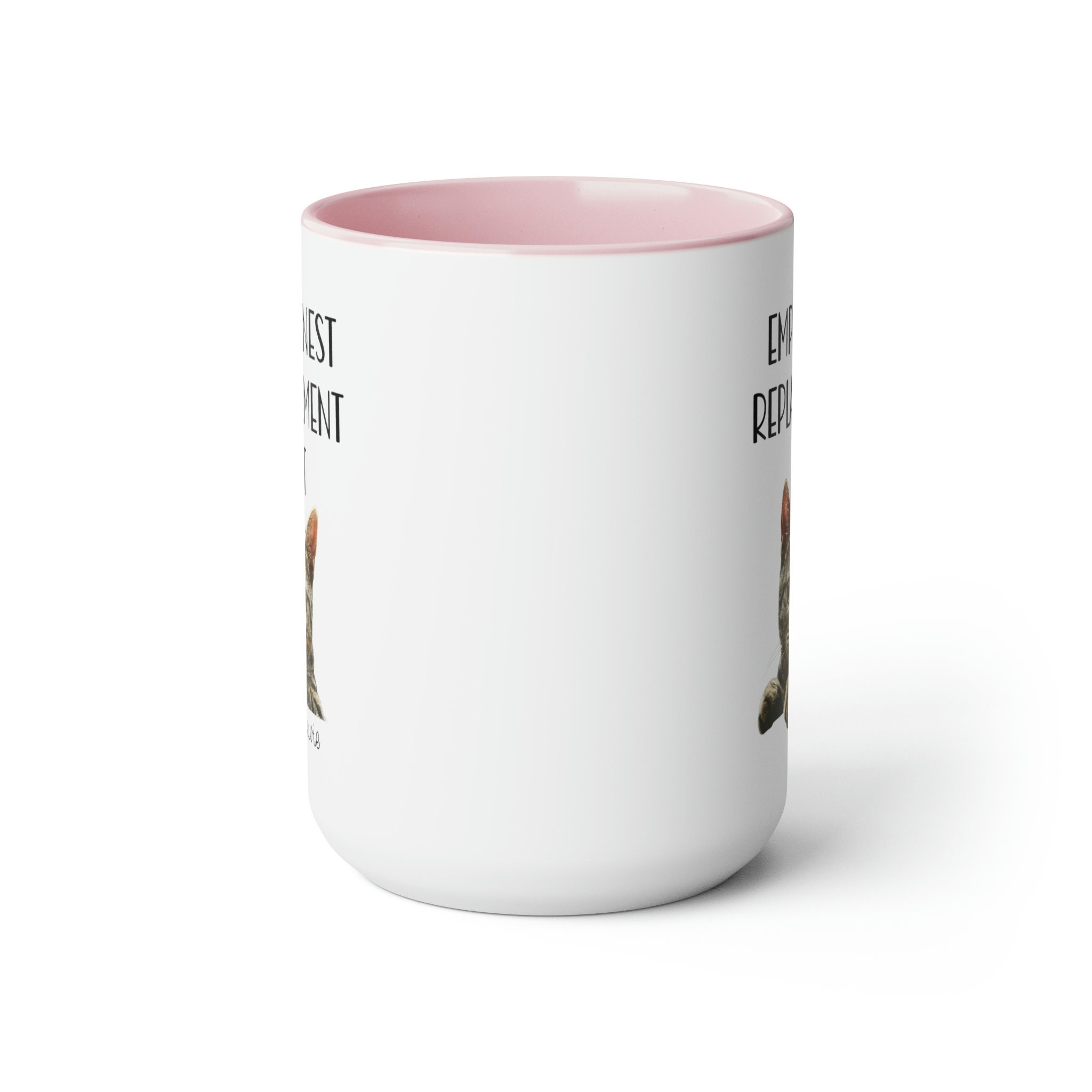 Empty Nesters, Empty Nest Gift, College Mom, Cat Mom Mug, Personalized ...
