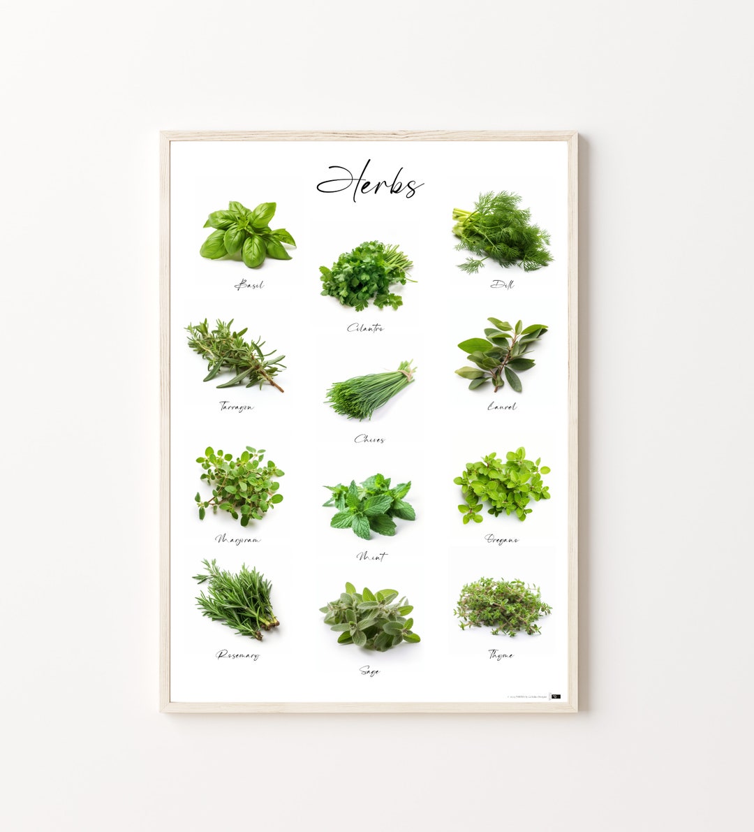 Kitchen Herbs Poster Herbs Like Oregano, Basil, Chives, Spices as High ...
