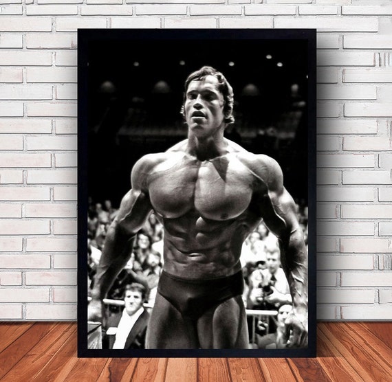 Arnold Schwarzenegger Poster