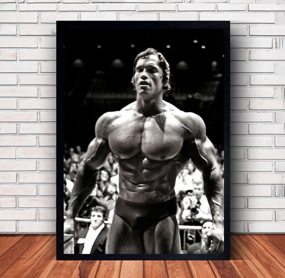 Arnold Schwarzenegger Enjoyment Poster