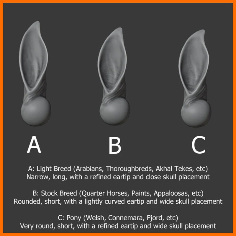 3d Printed Schleich Horse Tack - Etsy