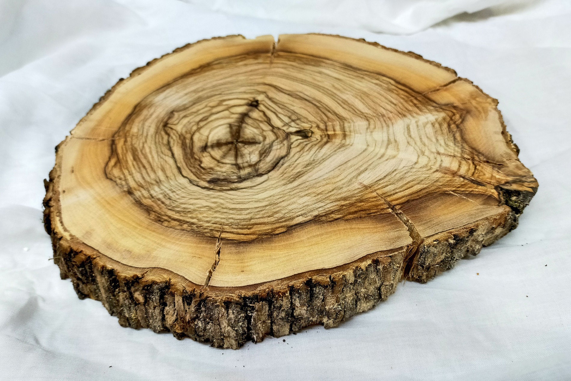 Olive Wood Slabs Various Sizes, Olive Wood Slices With Bark, Olive Wood ...