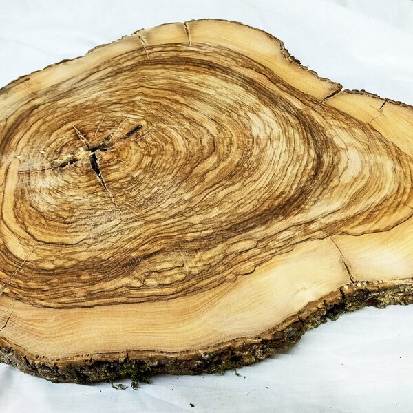 Wood Slabs - Etsy