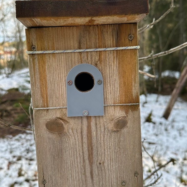 Bird Houses for the Outdoors - Etsy