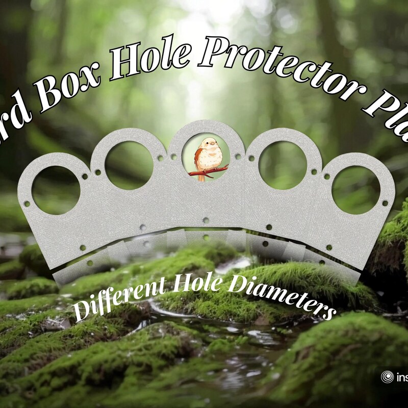 Bird House Predator Guard - Etsy