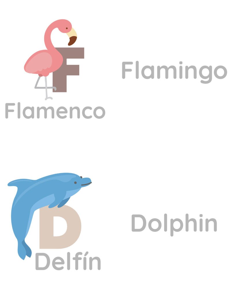 Spanish Alphabet Animal Flashcards: Bilingual Learning (digital ...