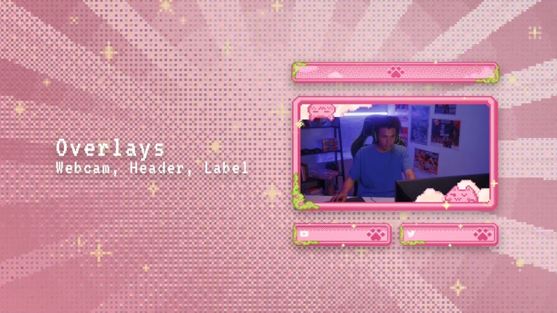 Cute Pink Twitch Overlays Pack STATIC for OBS Studio & Streamlabs - Etsy