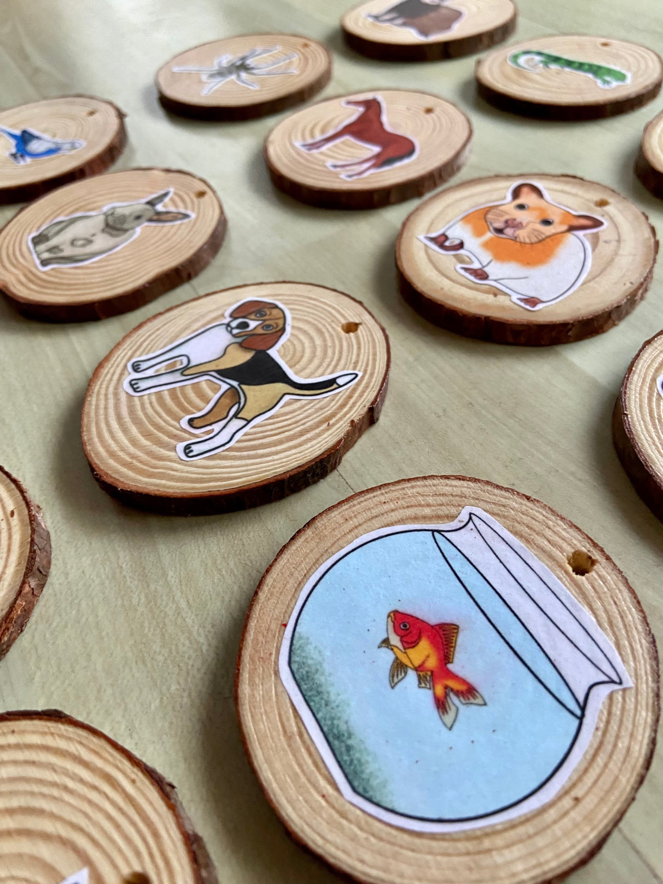 Pets Log Slices Pets Gift Set Wooden Log Slices Log Slices - Etsy UK