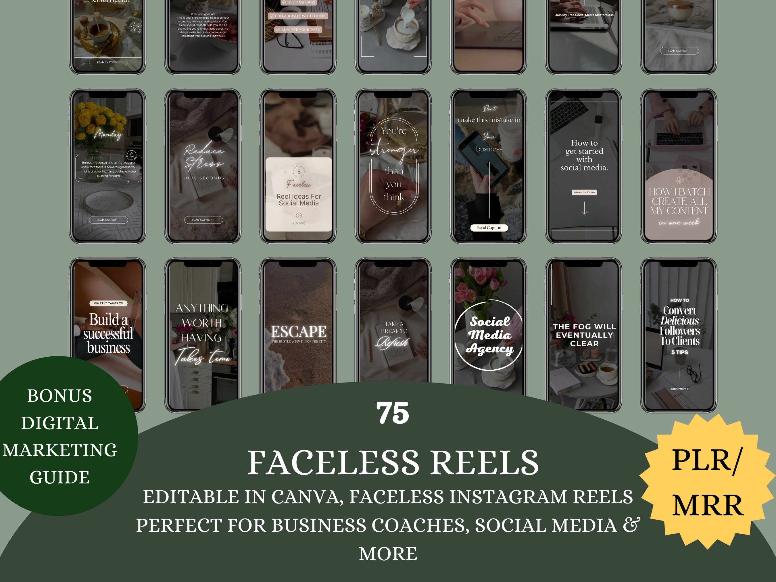 MRR Faceless Instagram Reels Coaching Templates Master Resell Rights ...