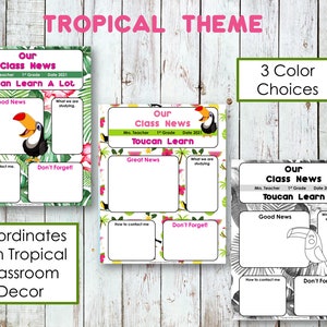 Tropical Classroom Newsletter Templates, Printable and Editable Class ...